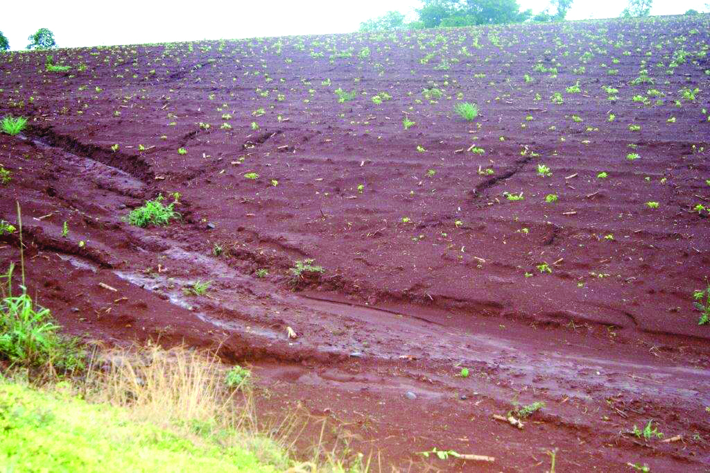 Rede pesquisa erosão em todas as regiões do Paraná – O Presente